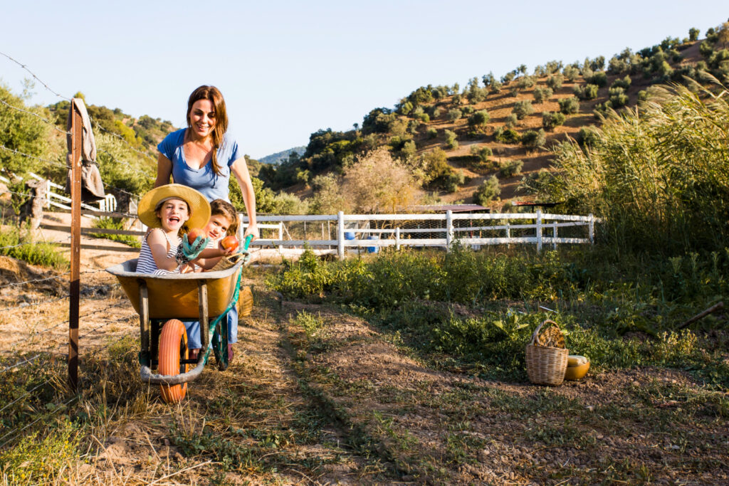 7 Amazing Reasons to Live an Organic Farming Lifestyle - nirmorganics
